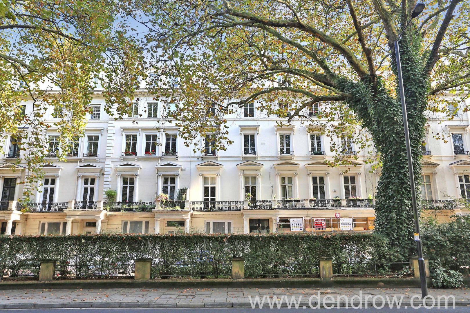 Westbourne Terrace - Dendrow